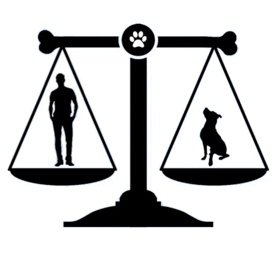 Dog Boarding, Daycare and Grooming Southern NH - Truly Balanced Dog Care